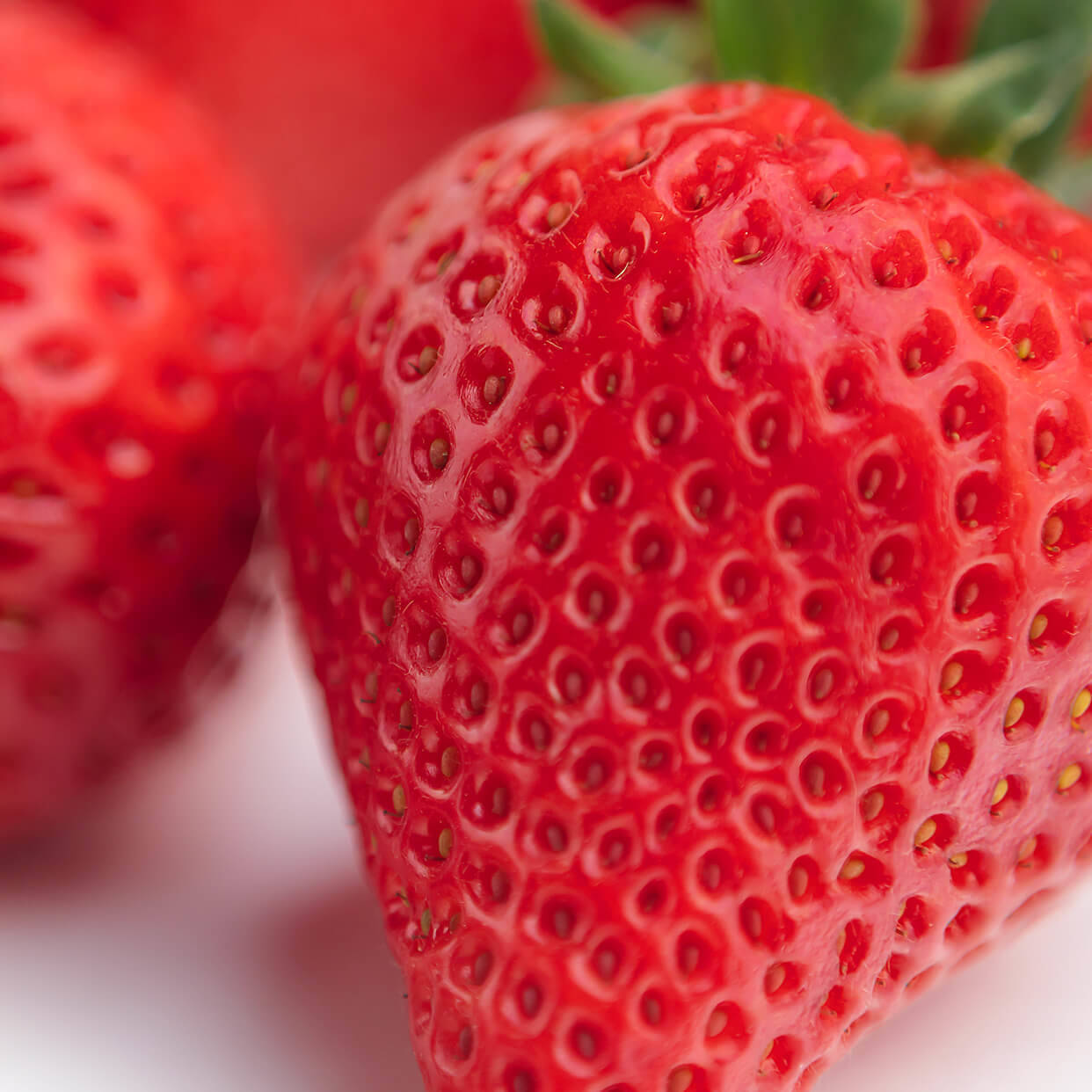 Blazer Wilkinson | Our Berries