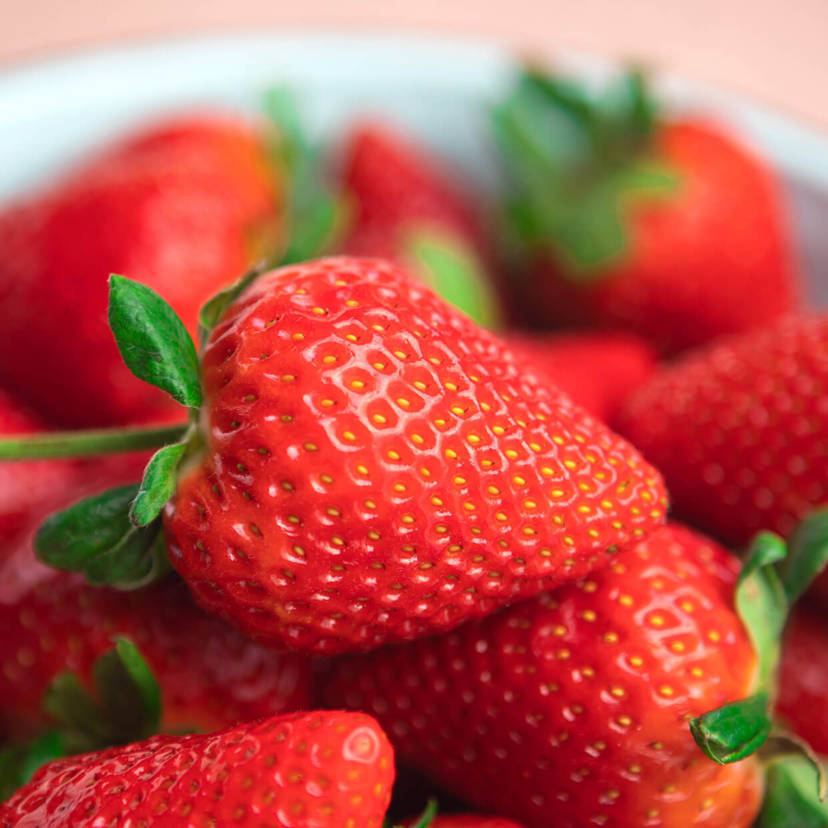 Blazer Wilkinson | Our Berries