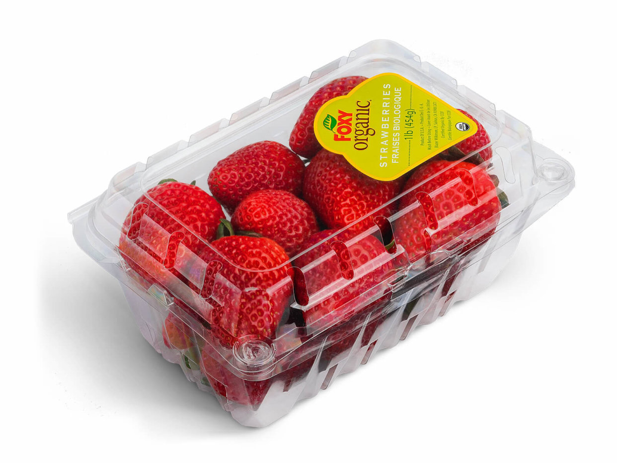 Blazer Wilkinson | 1 lb & 2 lb Organic Strawberry