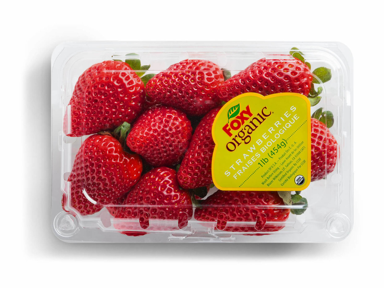 Blazer Wilkinson | 1 lb & 2 lb Organic Strawberry