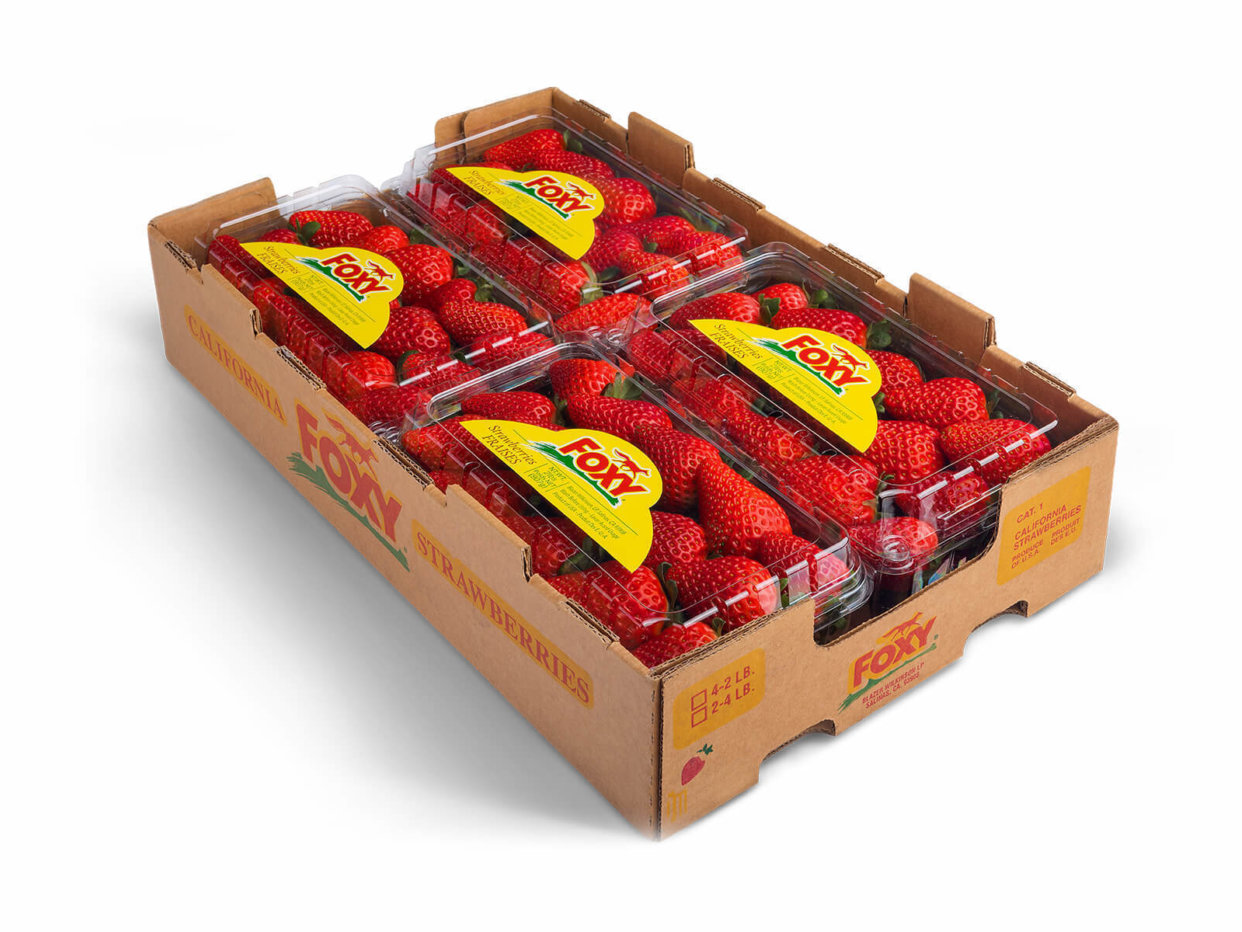 Blazer Wilkinson | 2 lb Conventional Strawberry