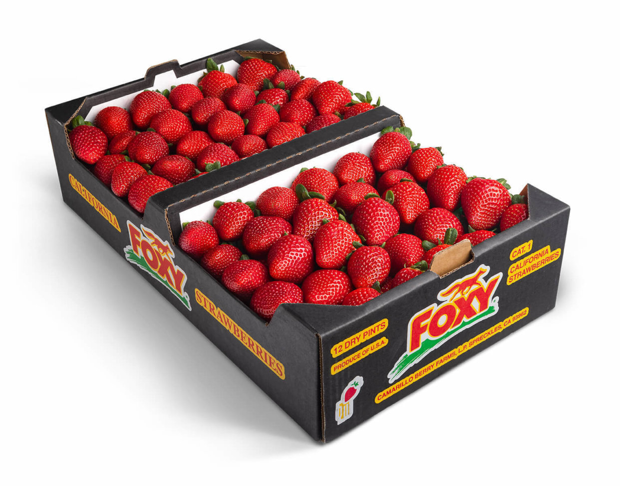 Blazer Wilkinson | Pints / Foodservice Pack