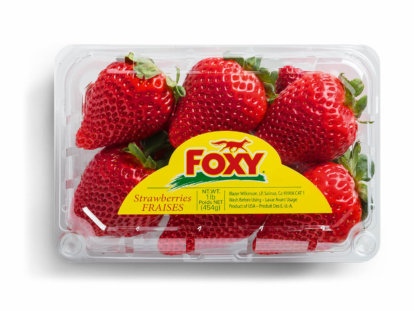 Blazer Wilkinson | 1 lb Conventional Strawberry