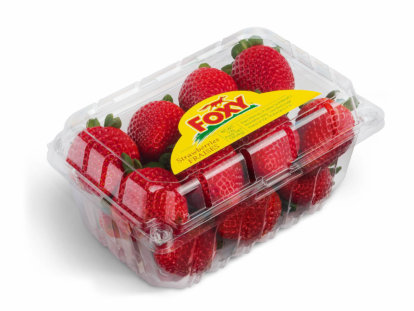 Blazer Wilkinson | 1 lb Conventional Strawberry