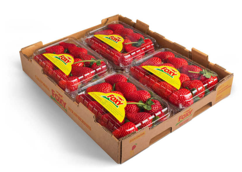 Blazer Wilkinson | 1 lb Long Stem Strawberry