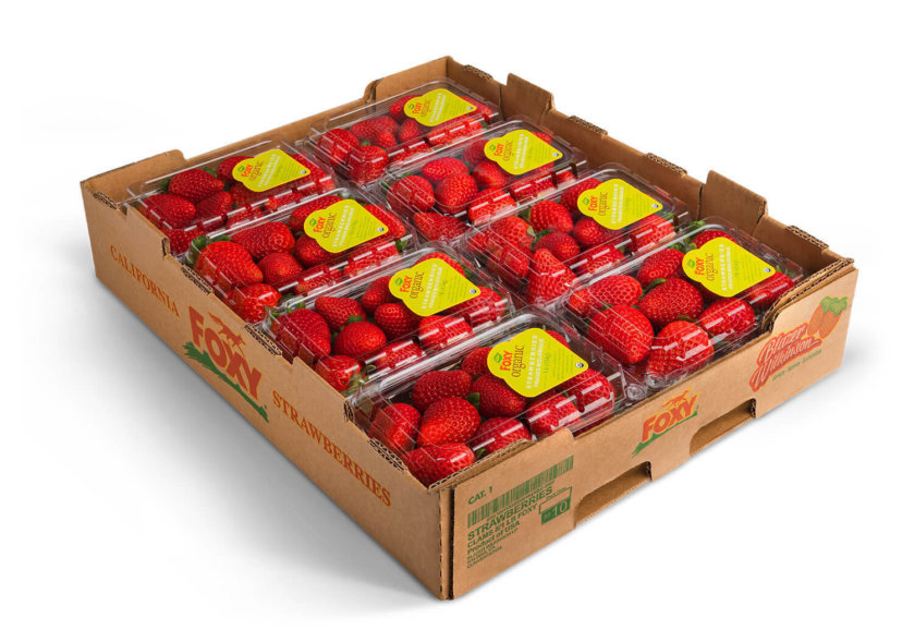 Blazer Wilkinson | 1 lb & 2 lb Organic Strawberry