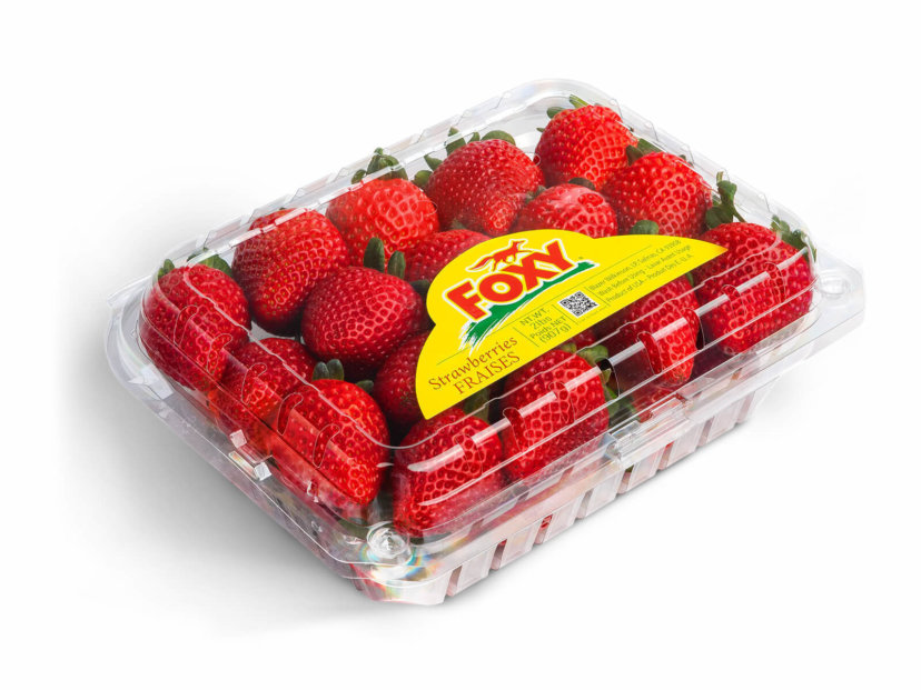 Blazer Wilkinson | 2 lb Conventional Strawberry