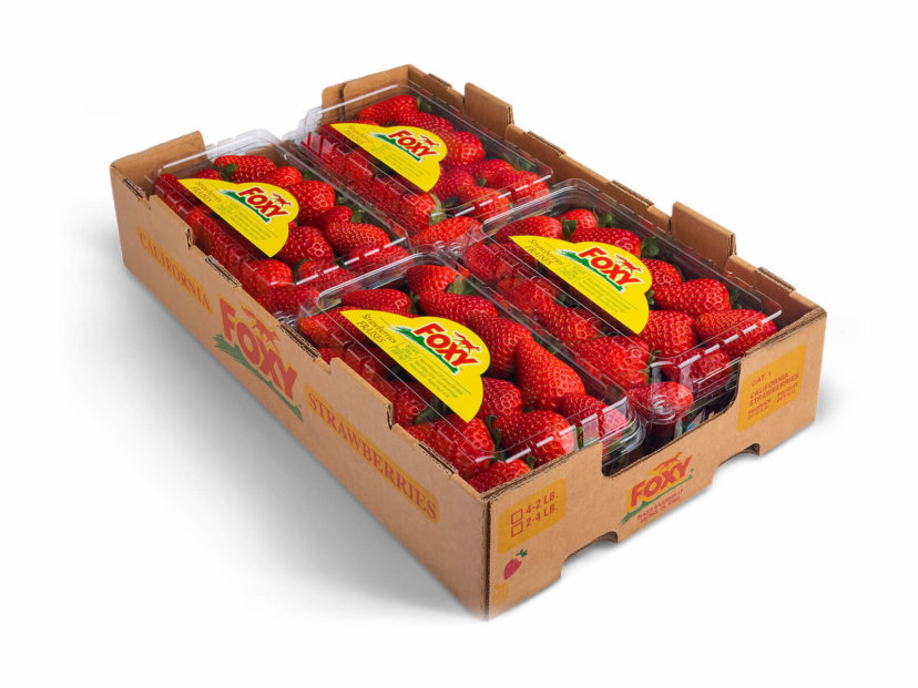 Blazer Wilkinson | 2 lb Conventional Strawberry