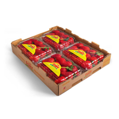 Blazer Wilkinson | 1 lb Conventional Strawberry